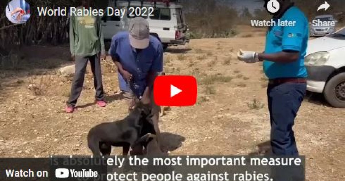 The Norwegian Veterinary Institute marks World Rabies Day - Norwegian ...