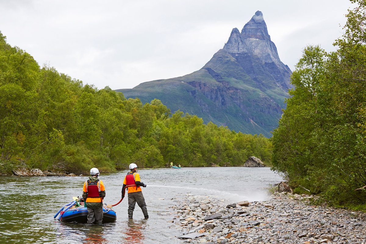 Elvene i Skibotn-regionen er endelig fri for dødelig lakseparasitt