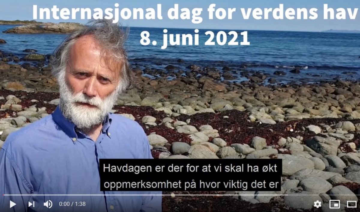 Markerer internasjonal dag for verdens hav