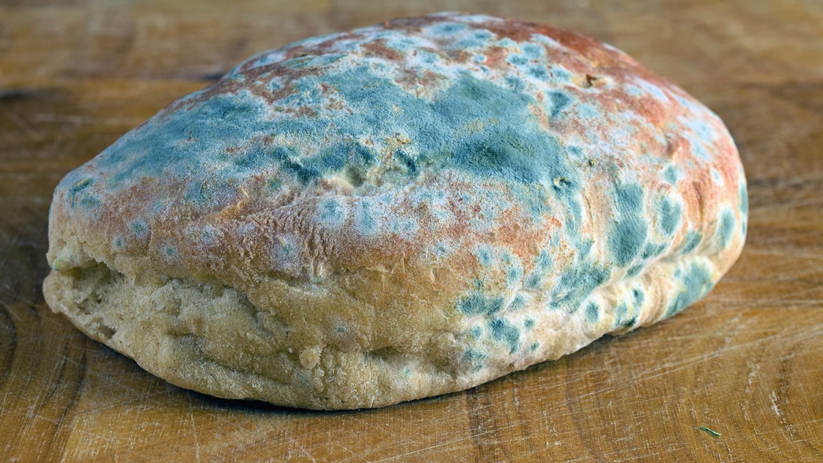 Mugg på maten: Dette må du kaste