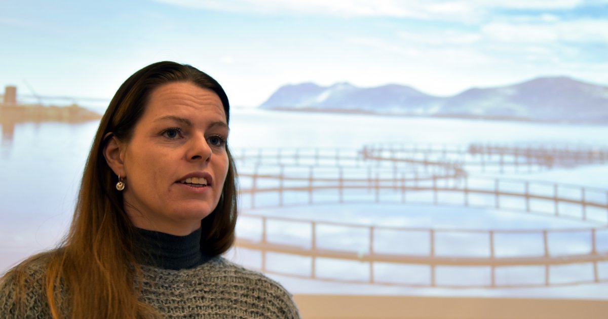 Ny forskning tyder på at sykdommen Hjertesprekk (CMS) kan overføres fra ...