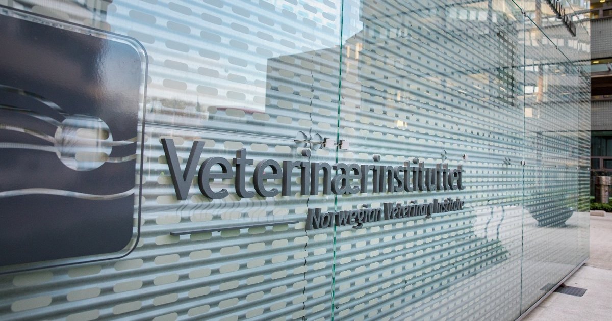 Obduksjon og prøveinnsending i julen - Veterinærinstituttet