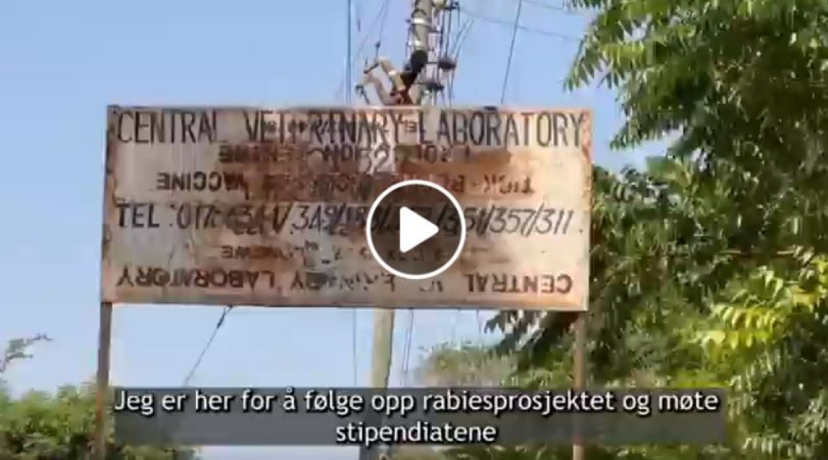 Skal styrke Én helse og bidra til bedre dyrehelse i Malawi