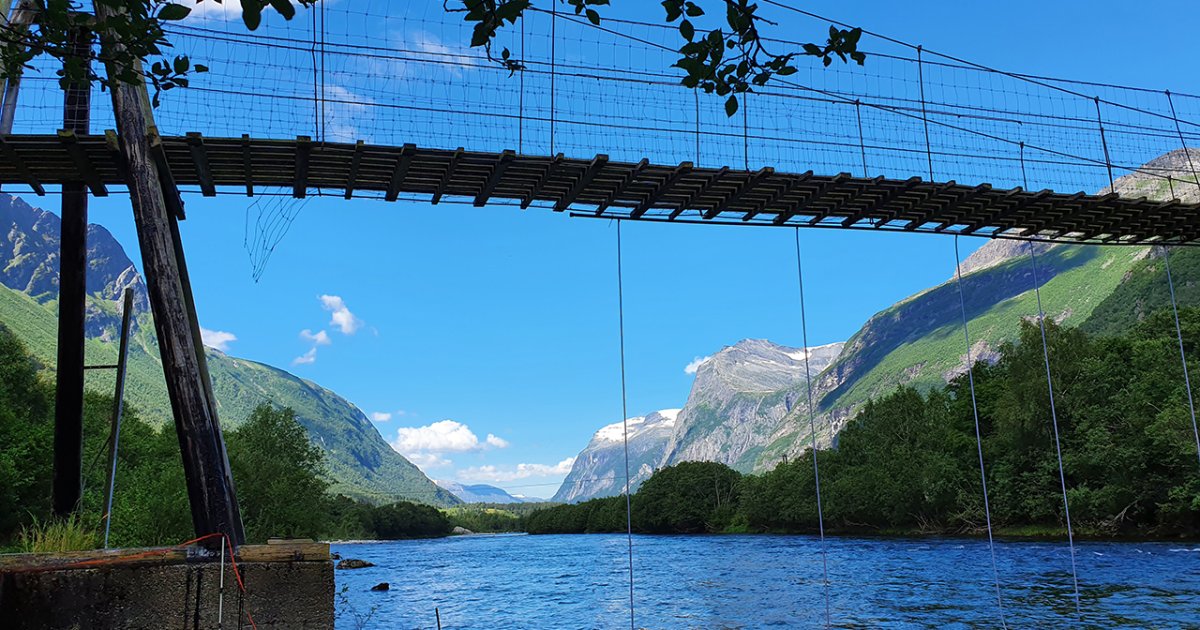 Slik blir gyrobekjempelsen i Driva i 2024 - Veterinærinstituttet