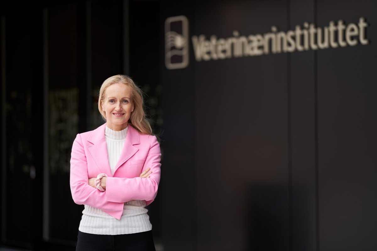 Stø kurs i krevende økonomiske tider