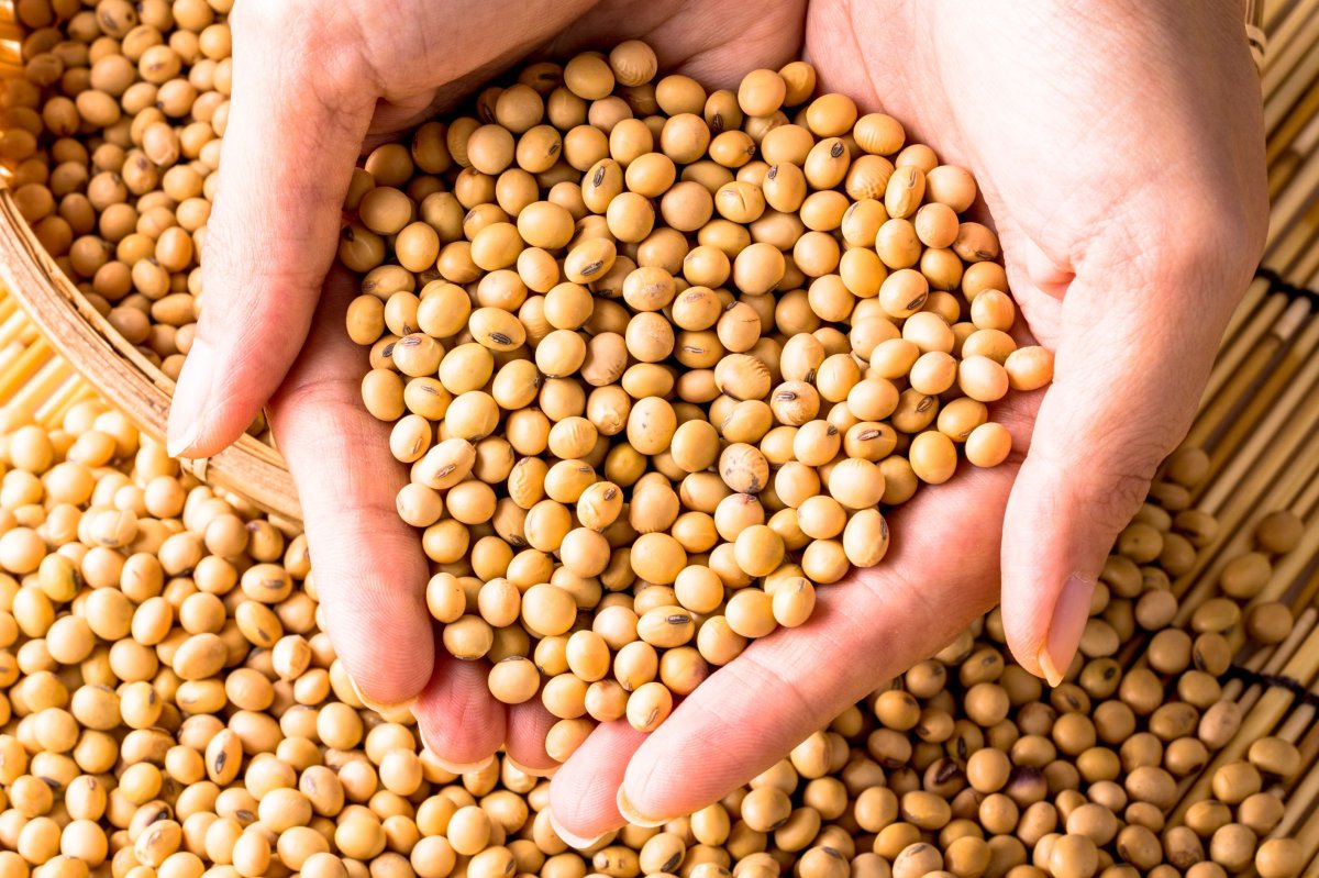 Ulovlig genmodifisert soya funnet i en matvare i Norge